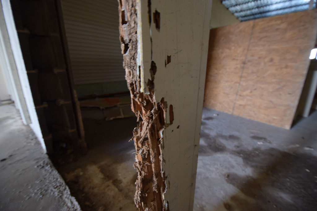 Termite Damage Repair | EcoTek Termite and Pest Control | 919-794-8290